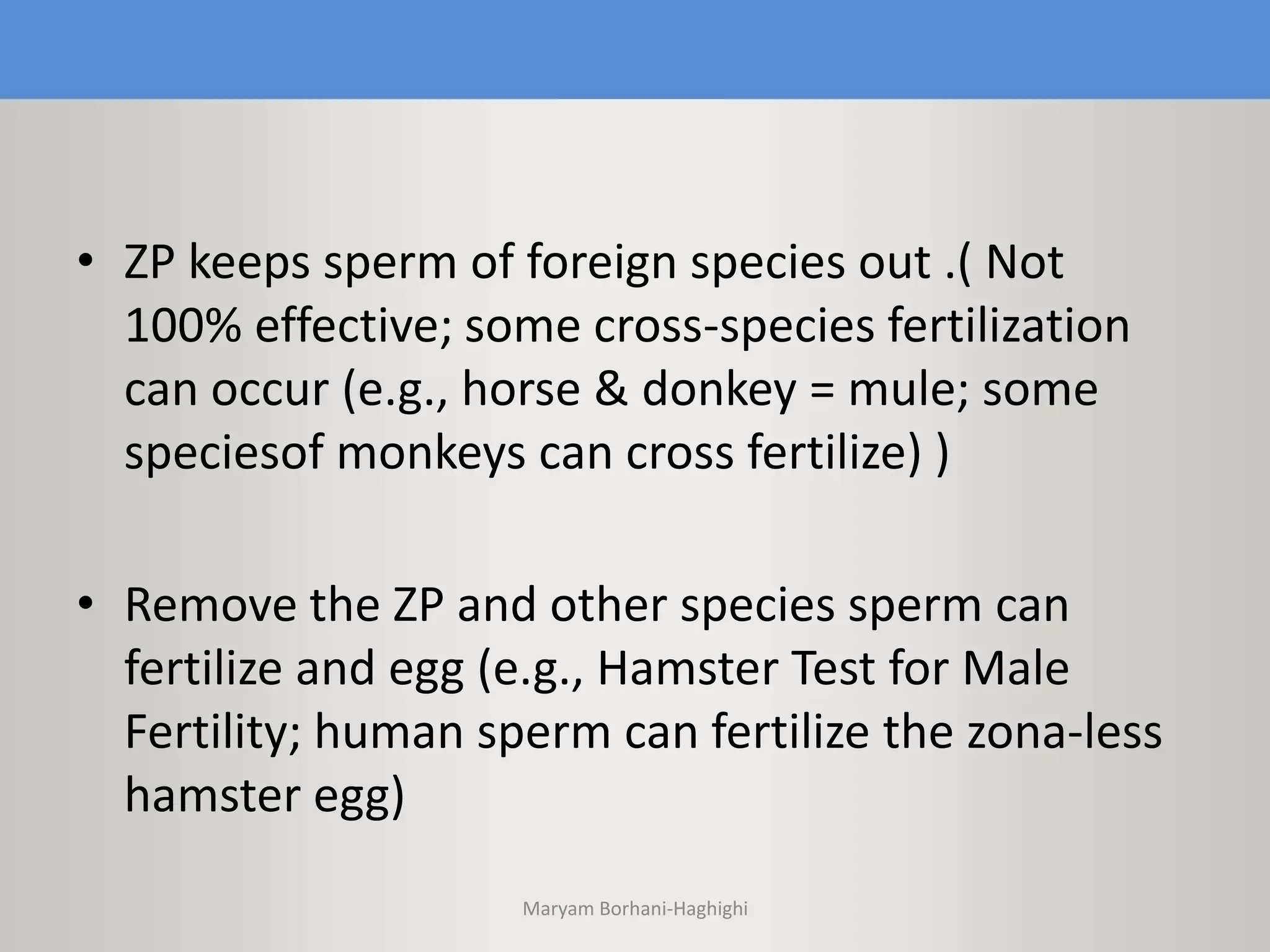 Human fertilization | PPTX