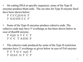 L9. restriction endonucleases | PPTX