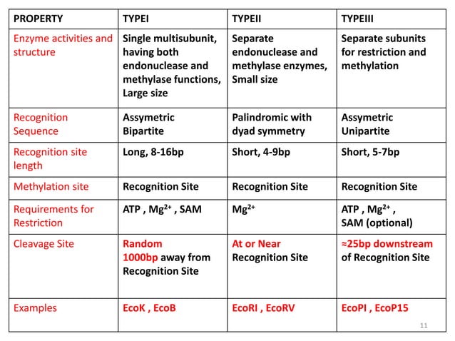 L9. restriction endonucleases | PPTX
