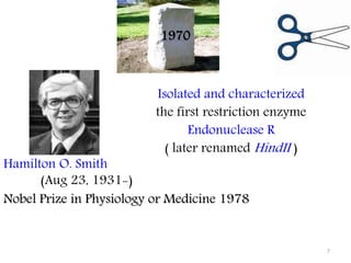 L9. restriction endonucleases | PPTX