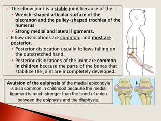 L9-arm & elbow 2013.ppt