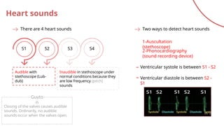 L9-Heart Sounds & Murmurs.pptxhshshshshsh | PPT