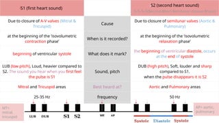 L9-Heart Sounds & Murmurs.pptxhshshshshsh | PPT