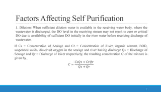 L9- SELF PURITIFCATION OF STREAMS.pptx