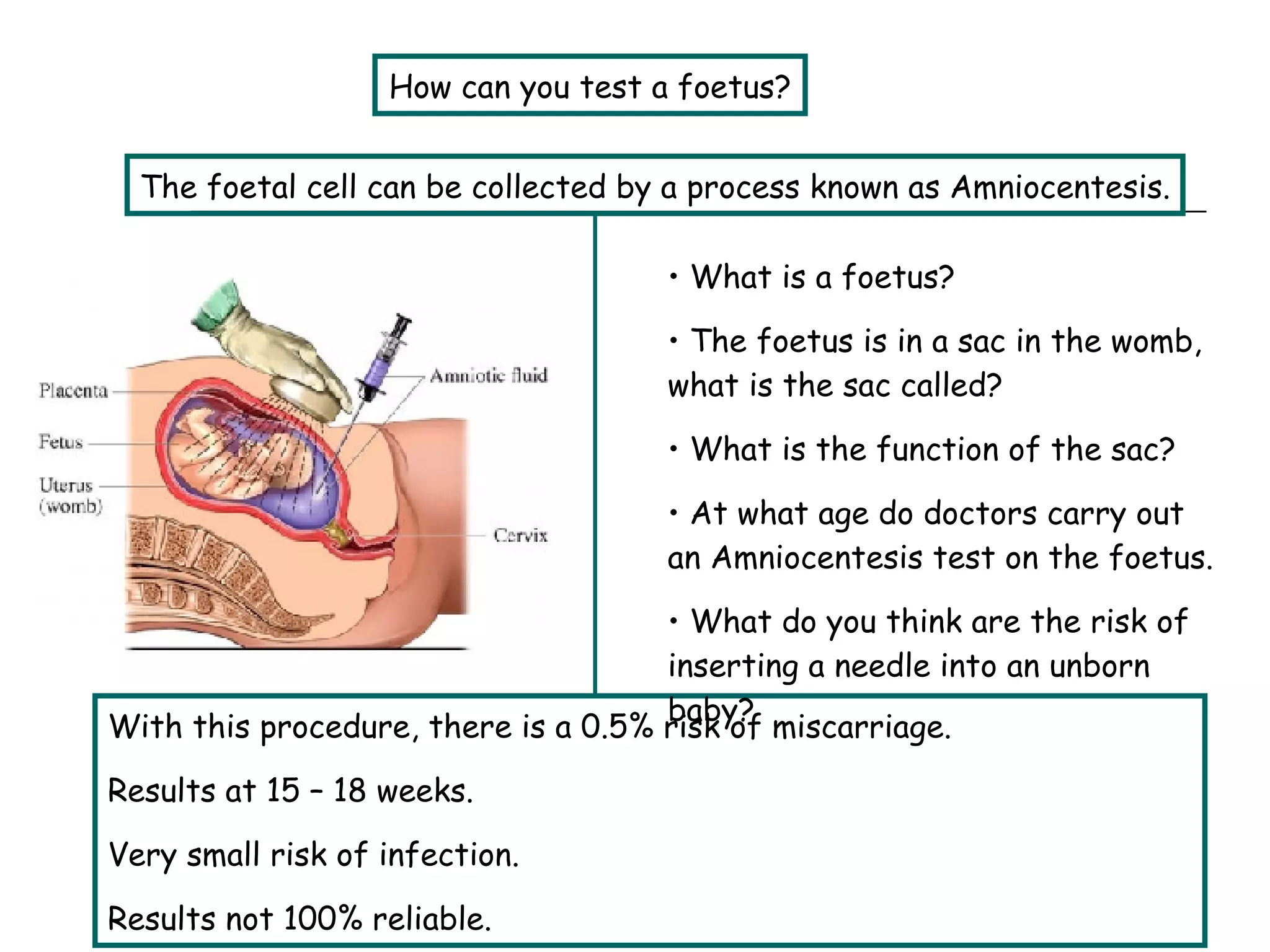 L9 Testing Foetus | PPT
