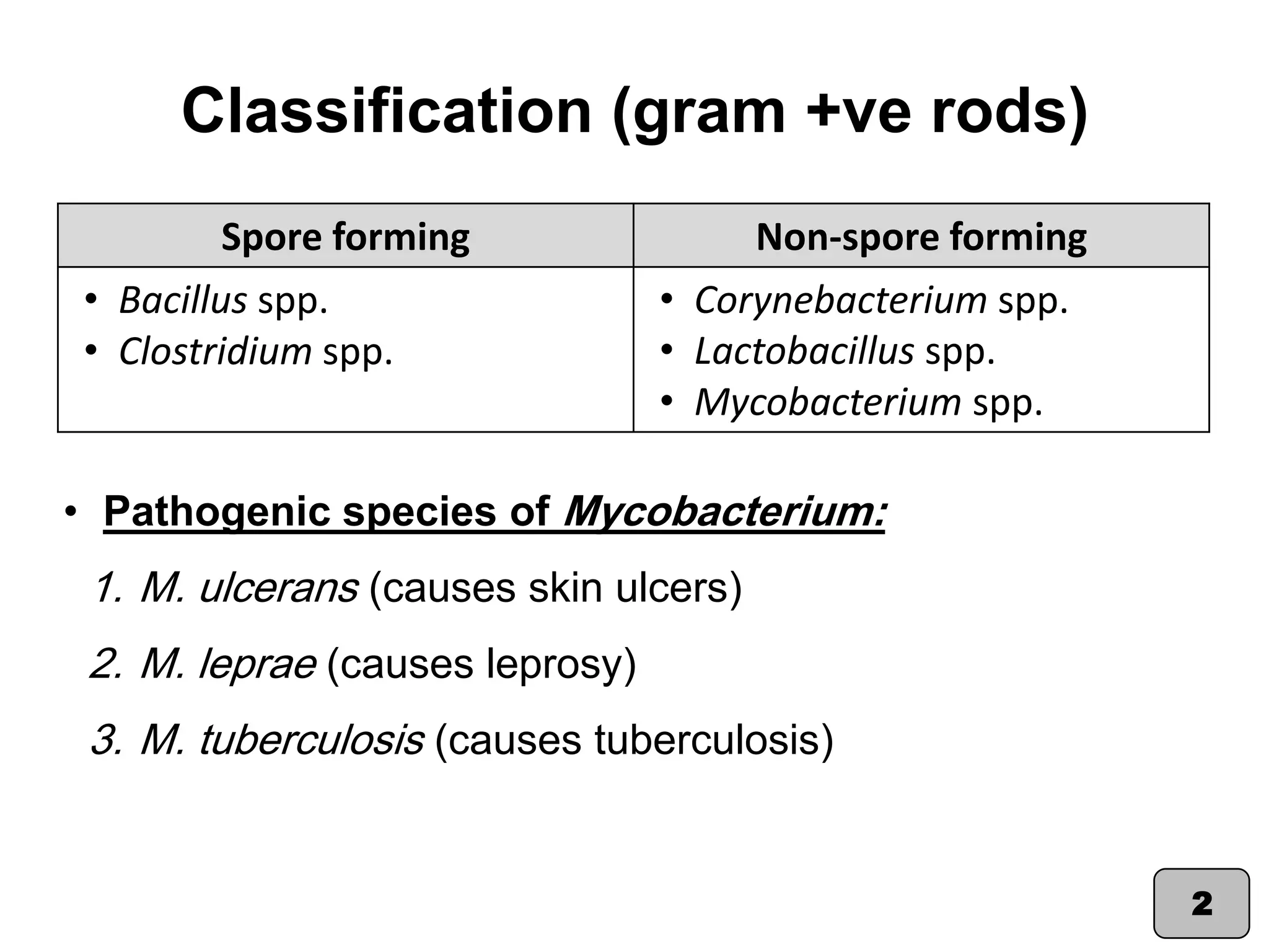 Mycobacterium tuberculosis (Practical Medical Microbiology, 14) | PDF