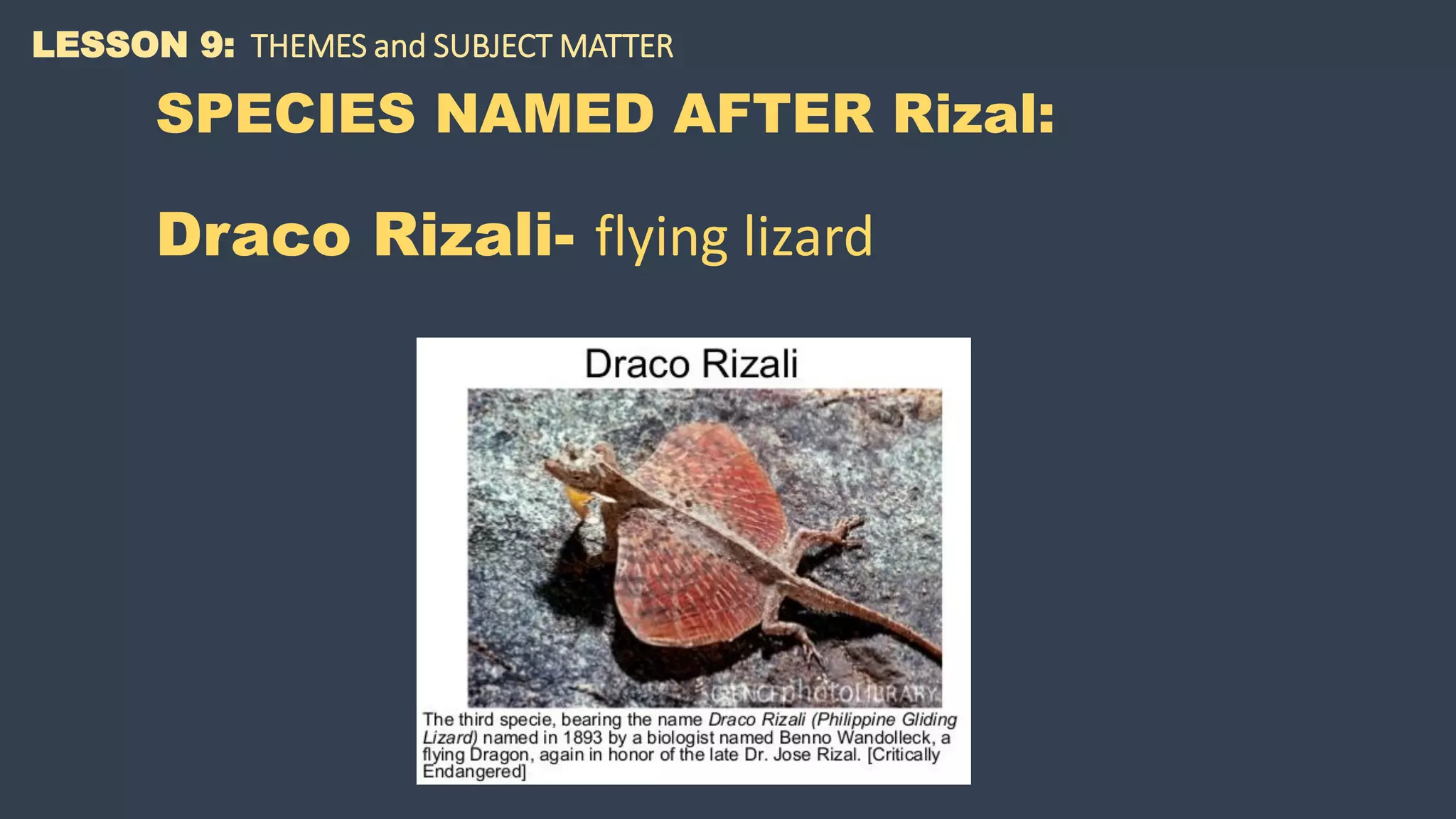 THEMES and Subject Matter | PDF