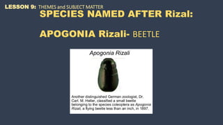 THEMES and Subject Matter | PDF