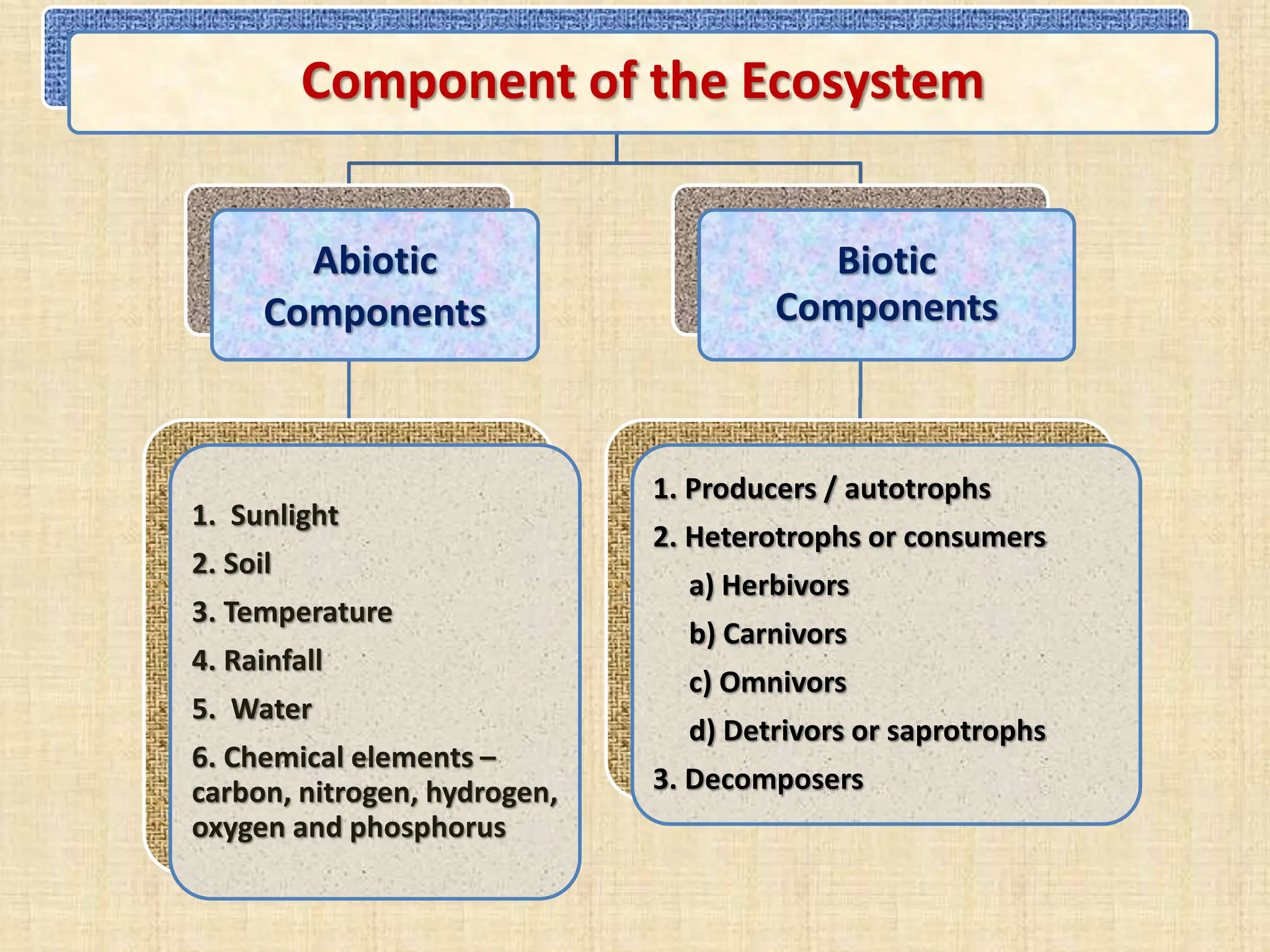 Ecosystem, composition, structure and functions of ecosystems | PPTX