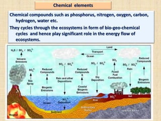Ecosystem, composition, structure and functions of ecosystems | PPTX