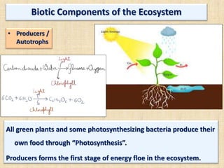 Ecosystem, composition, structure and functions of ecosystems | PPTX