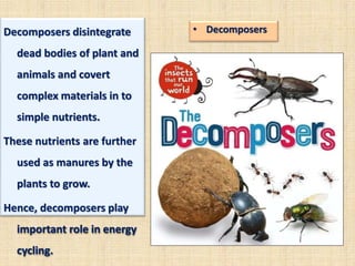 Ecosystem, composition, structure and functions of ecosystems | PPTX