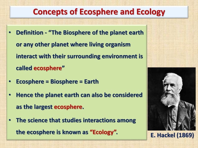 Ecosystem, composition, structure and functions of ecosystems | PPTX