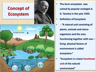 Ecosystem, composition, structure and functions of ecosystems | PPTX