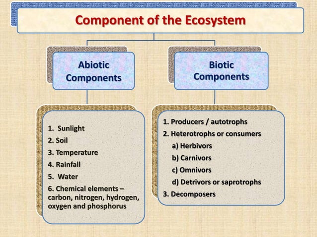 Ecosystem, composition, structure and functions of ecosystems | PPTX