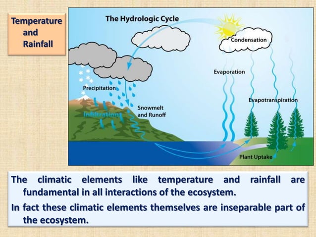 Ecosystem, composition, structure and functions of ecosystems | PPTX