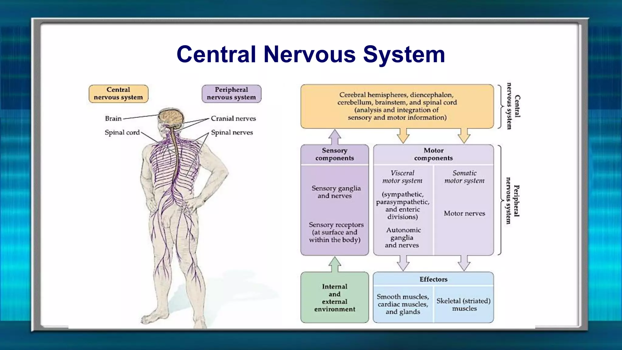 Motor system | PPT