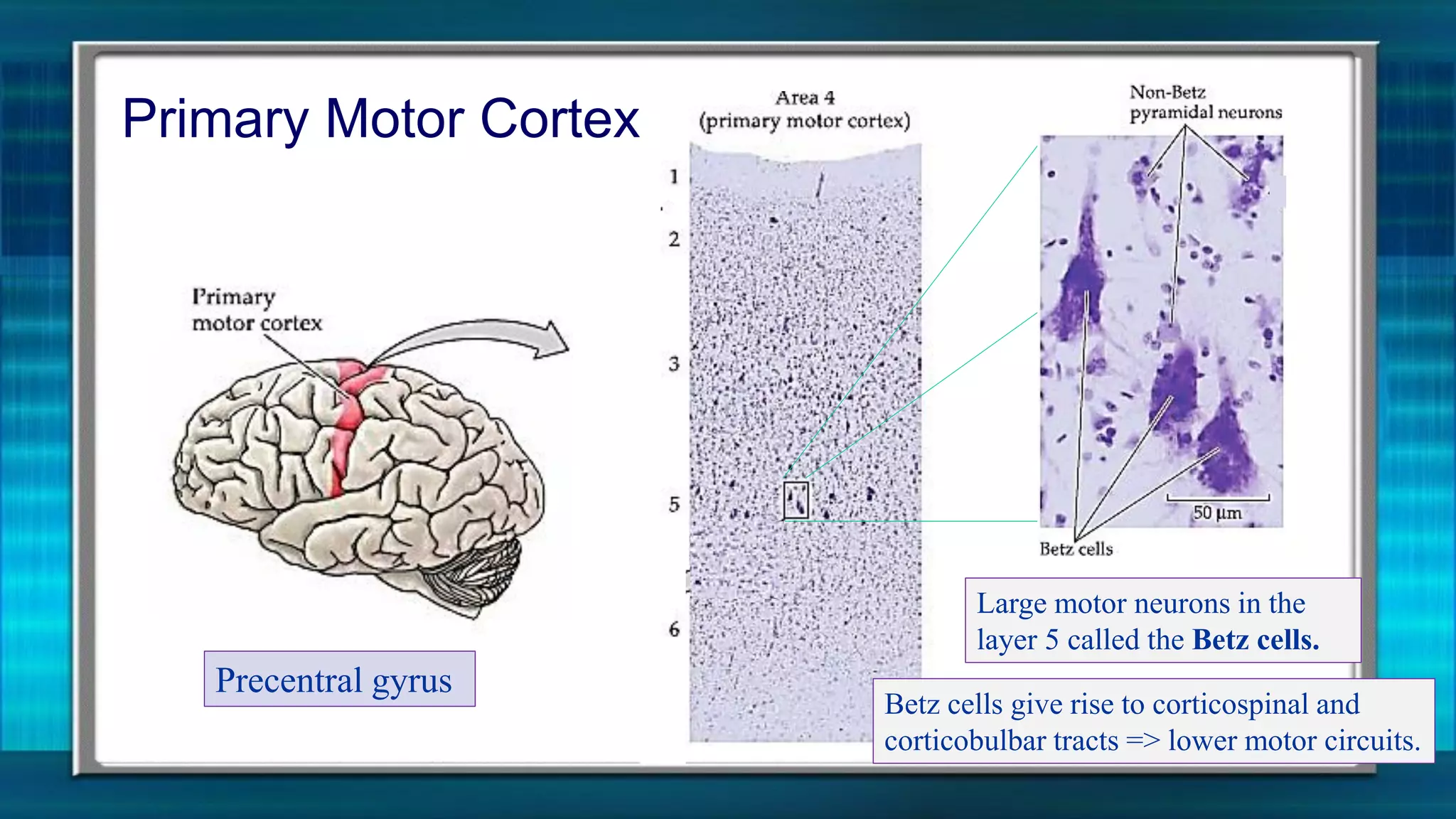 Motor system | PDF