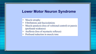 Motor system | PDF | Brain and Nervous System Disorders | Diseases and ...