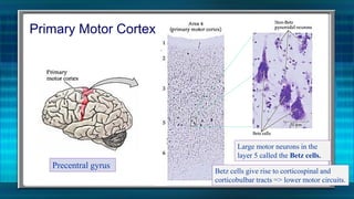 Motor system | PDF