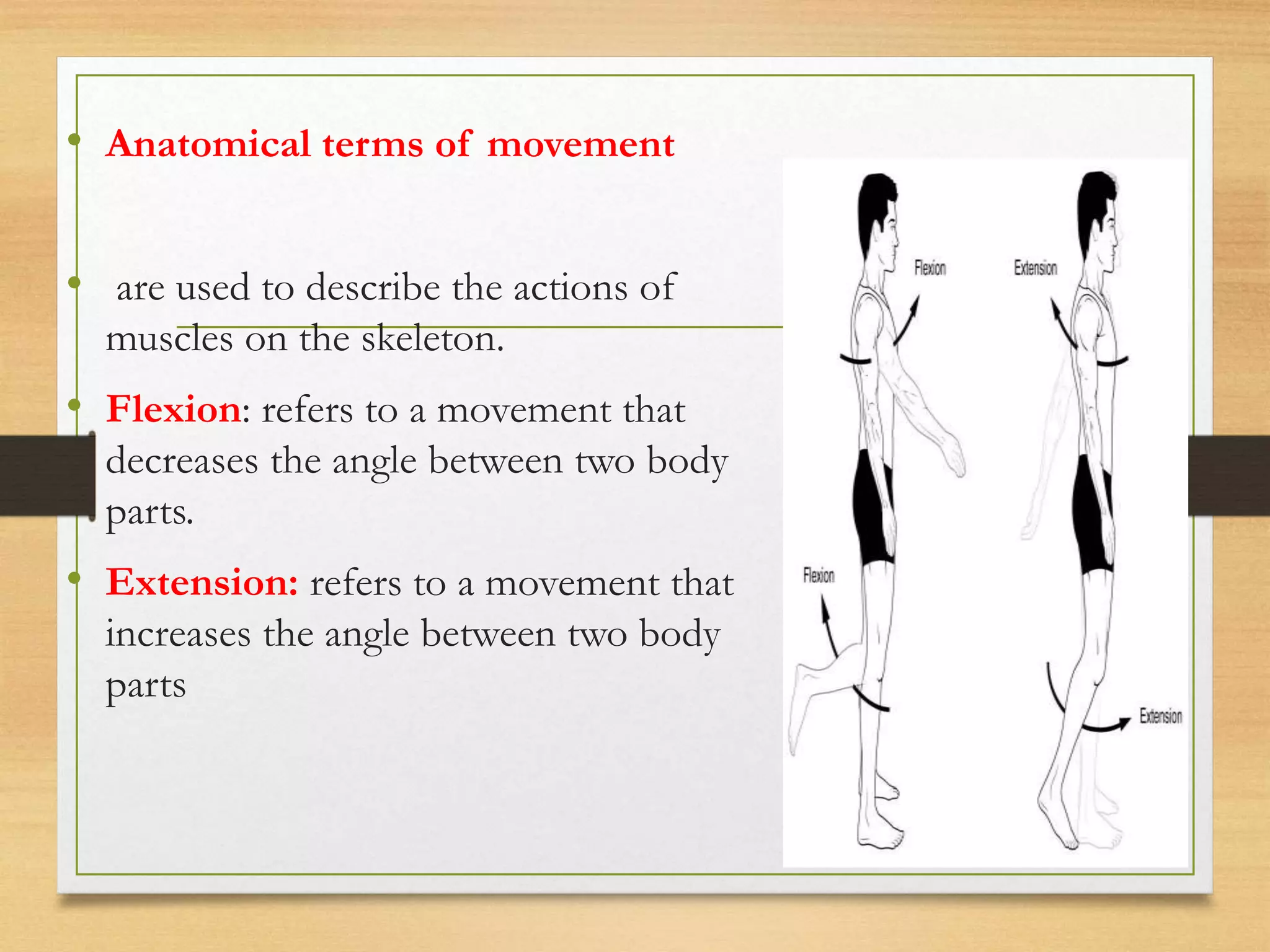 L9 muscles of upper limb [Autosaved].pptx