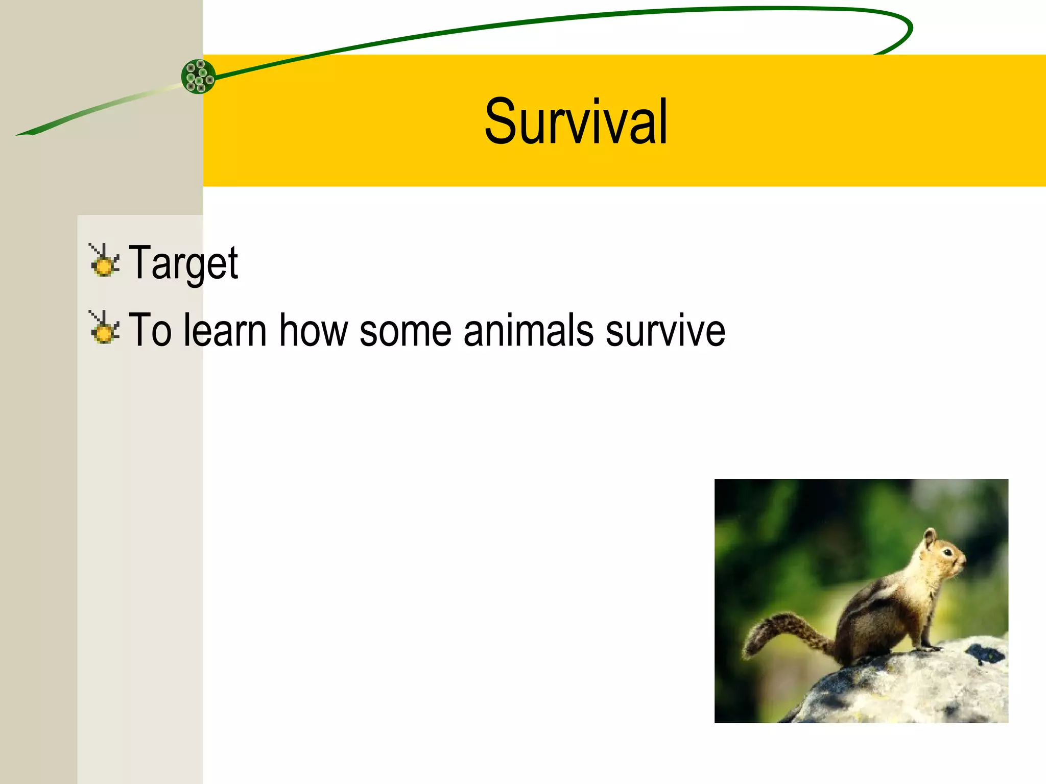Lesson 9 animal survival | PPT