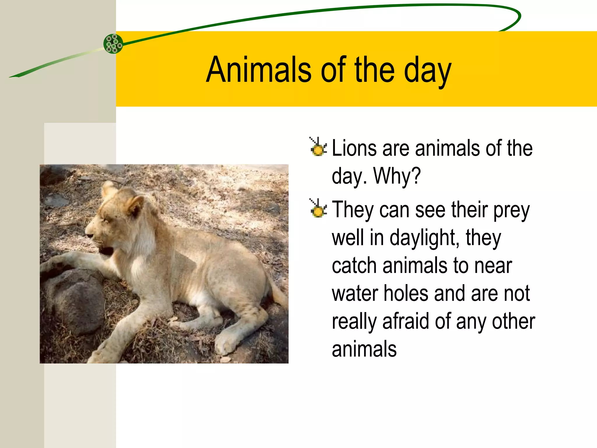 Lesson 9 animal survival | PPT