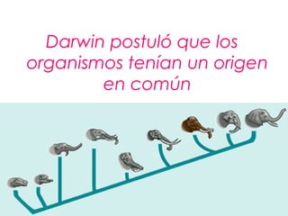 La Teoría de Darwin | PPT