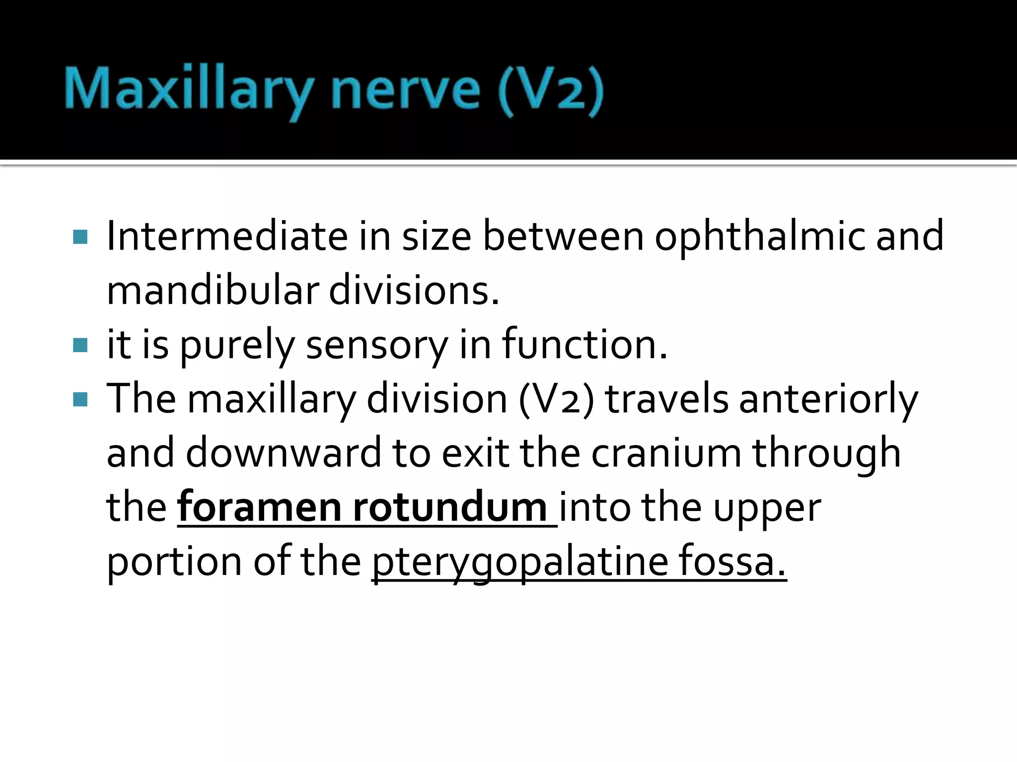 Innervation of teeth | PPTX