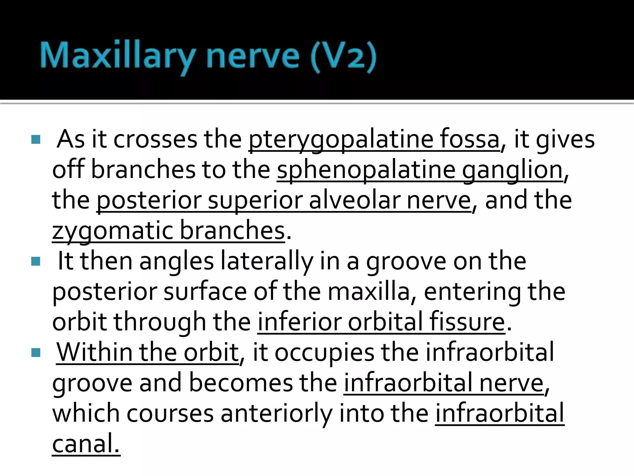 Innervation of teeth | PPTX