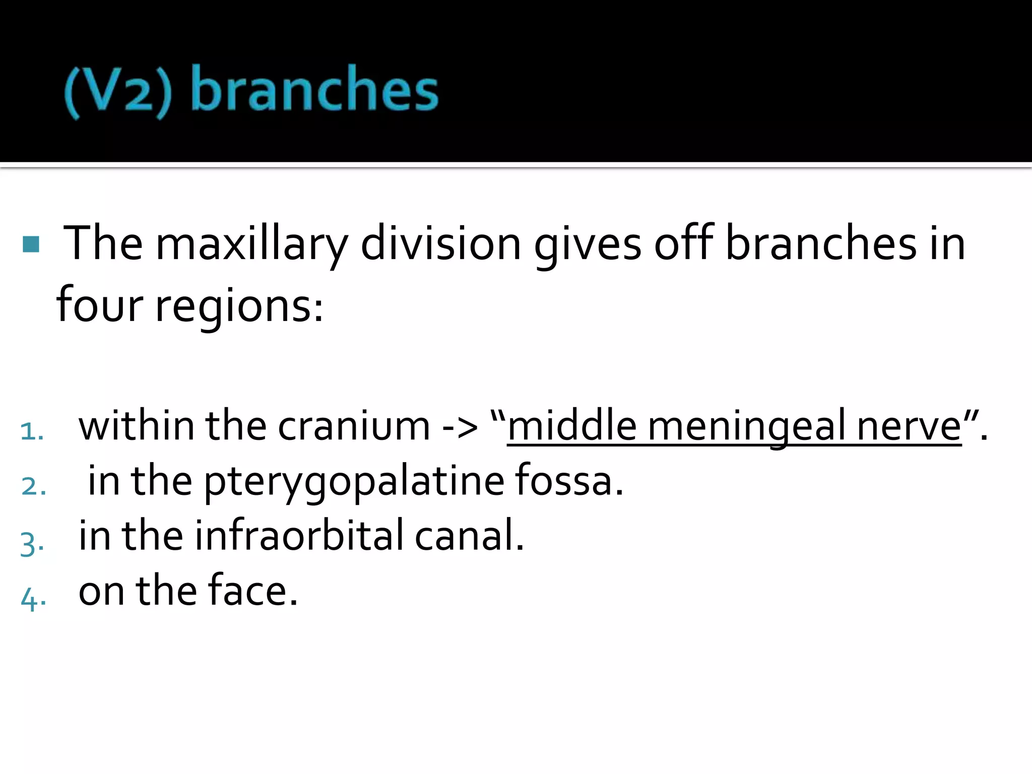 Innervation of teeth | PPTX