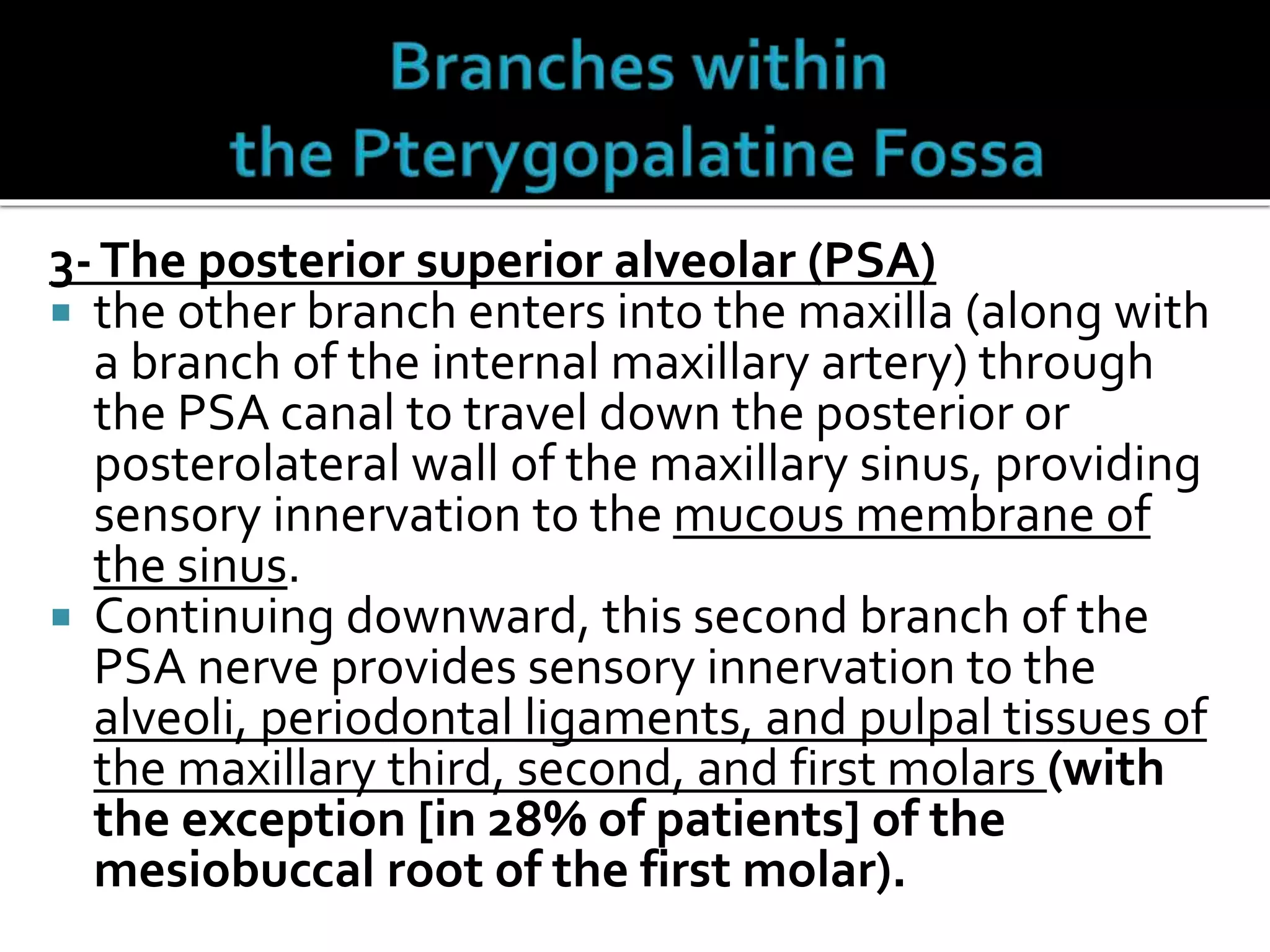 Innervation of teeth | PPTX