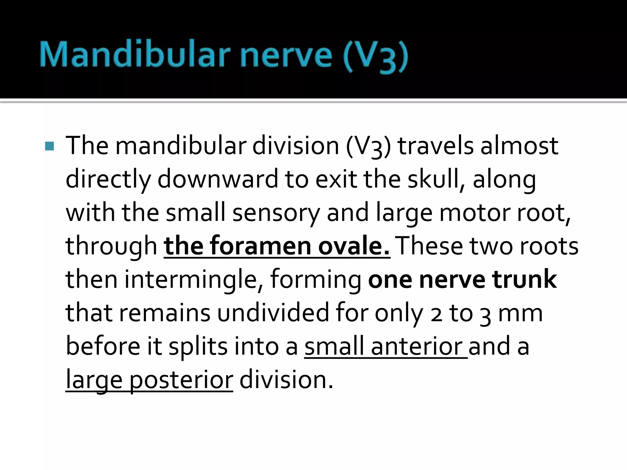 Innervation of teeth | PPTX