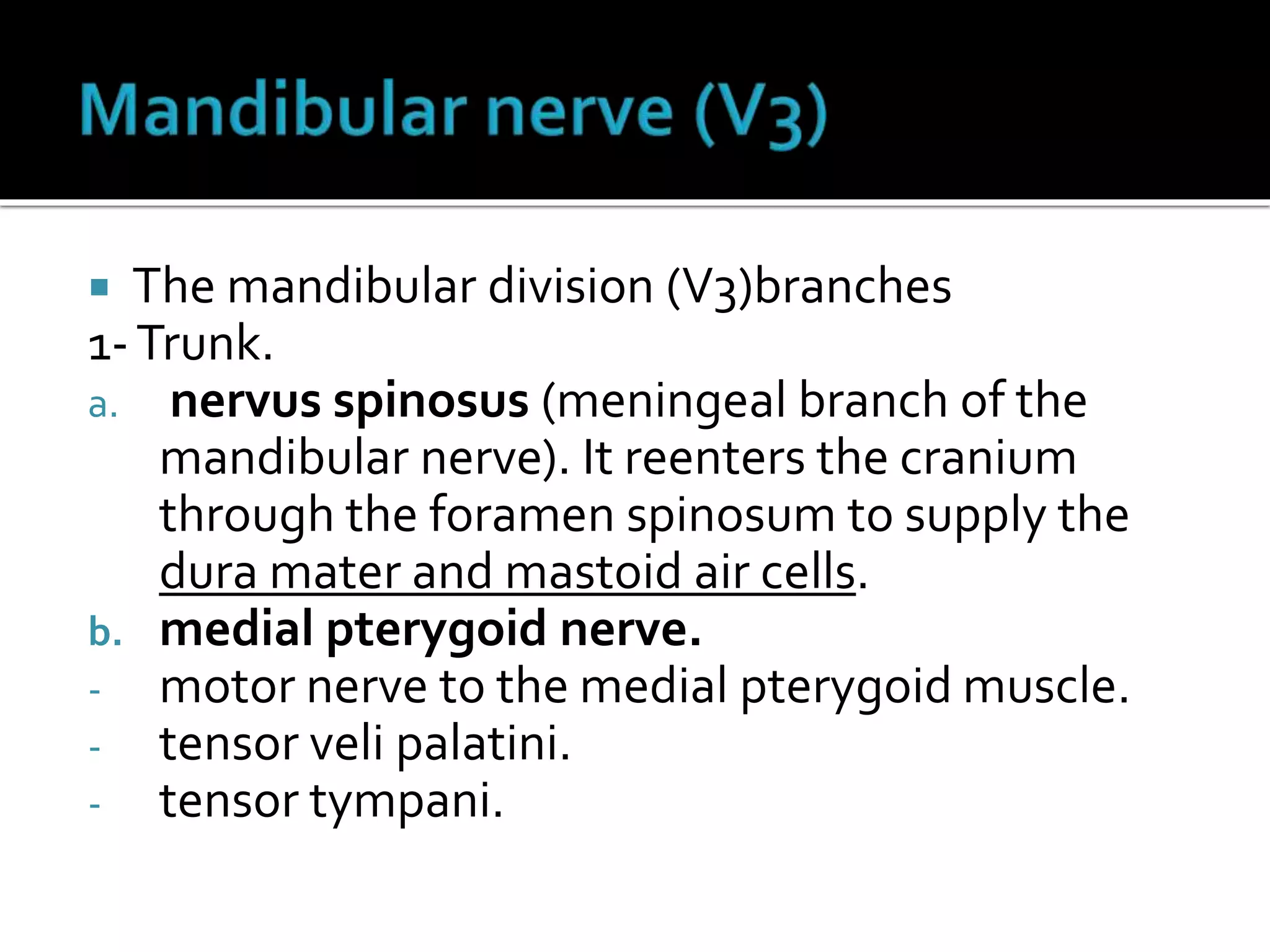 Innervation of teeth | PPTX