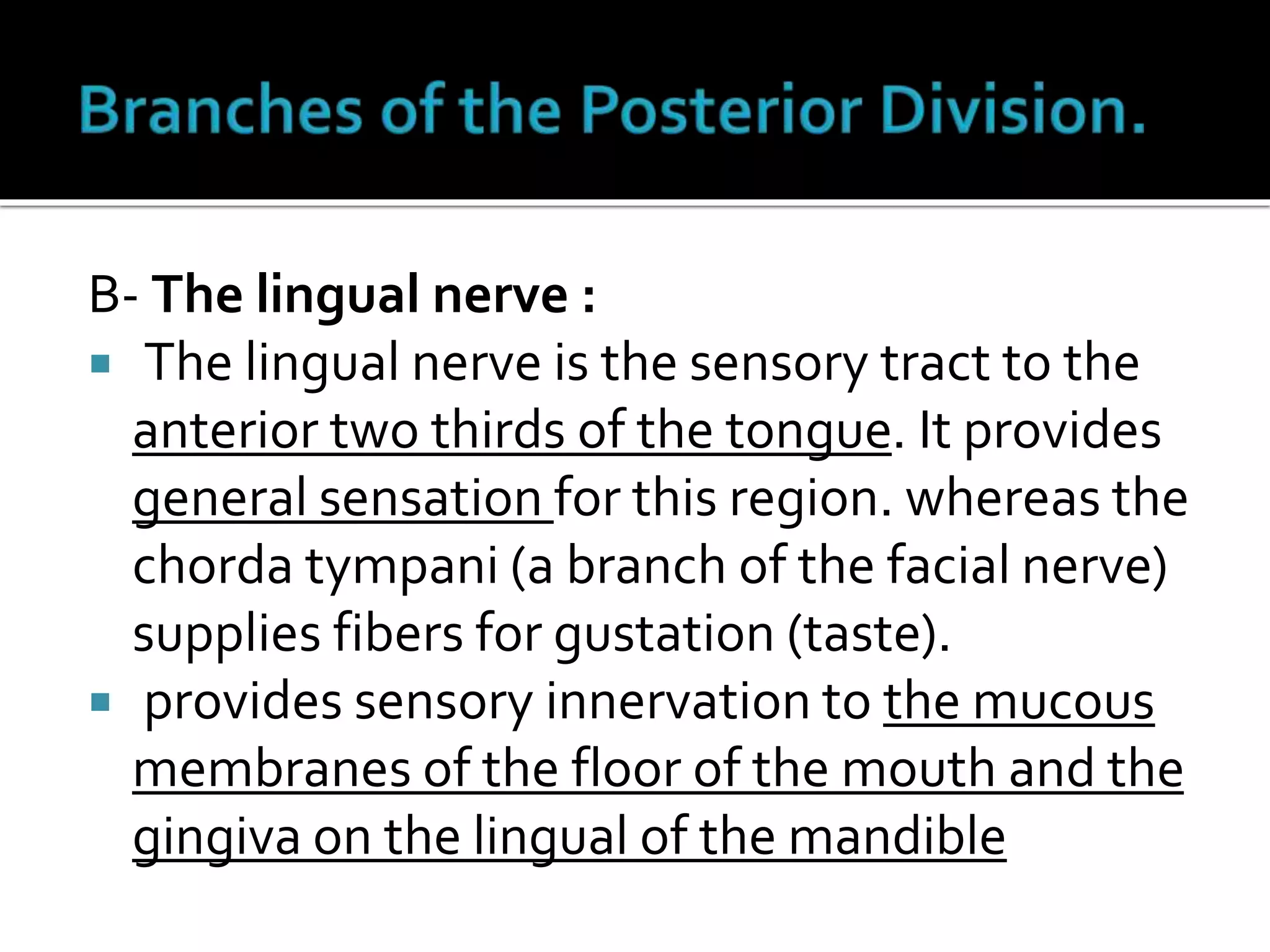 Innervation of teeth | PPTX