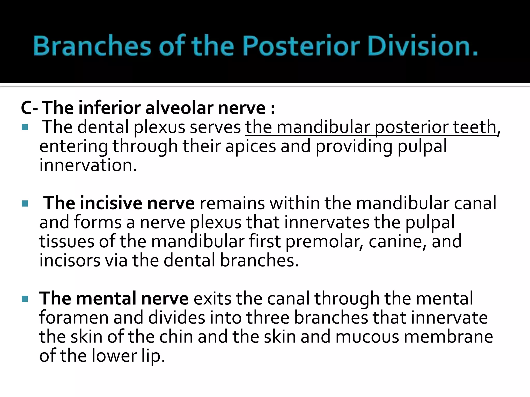 Innervation of teeth | PPTX