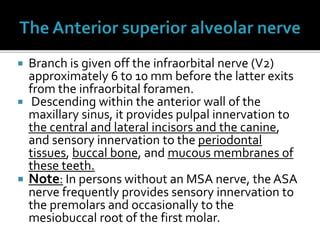 Innervation of teeth | PPTX