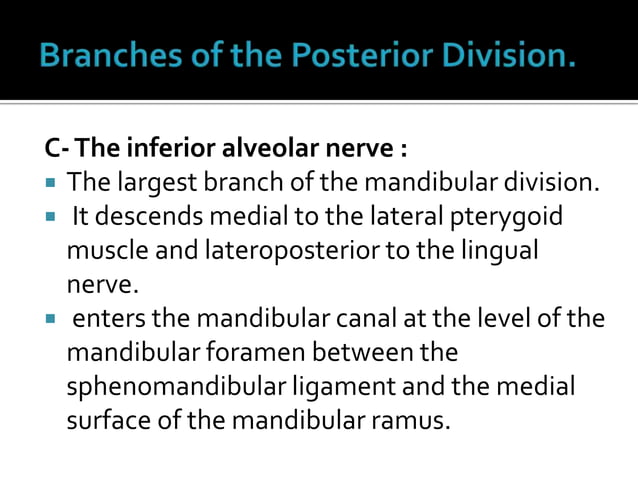 Innervation of teeth | PPTX