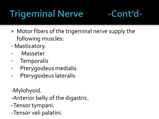 Innervation of teeth | PPTX