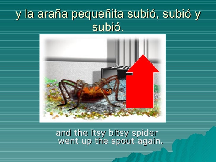 La ArañA PequeñIta