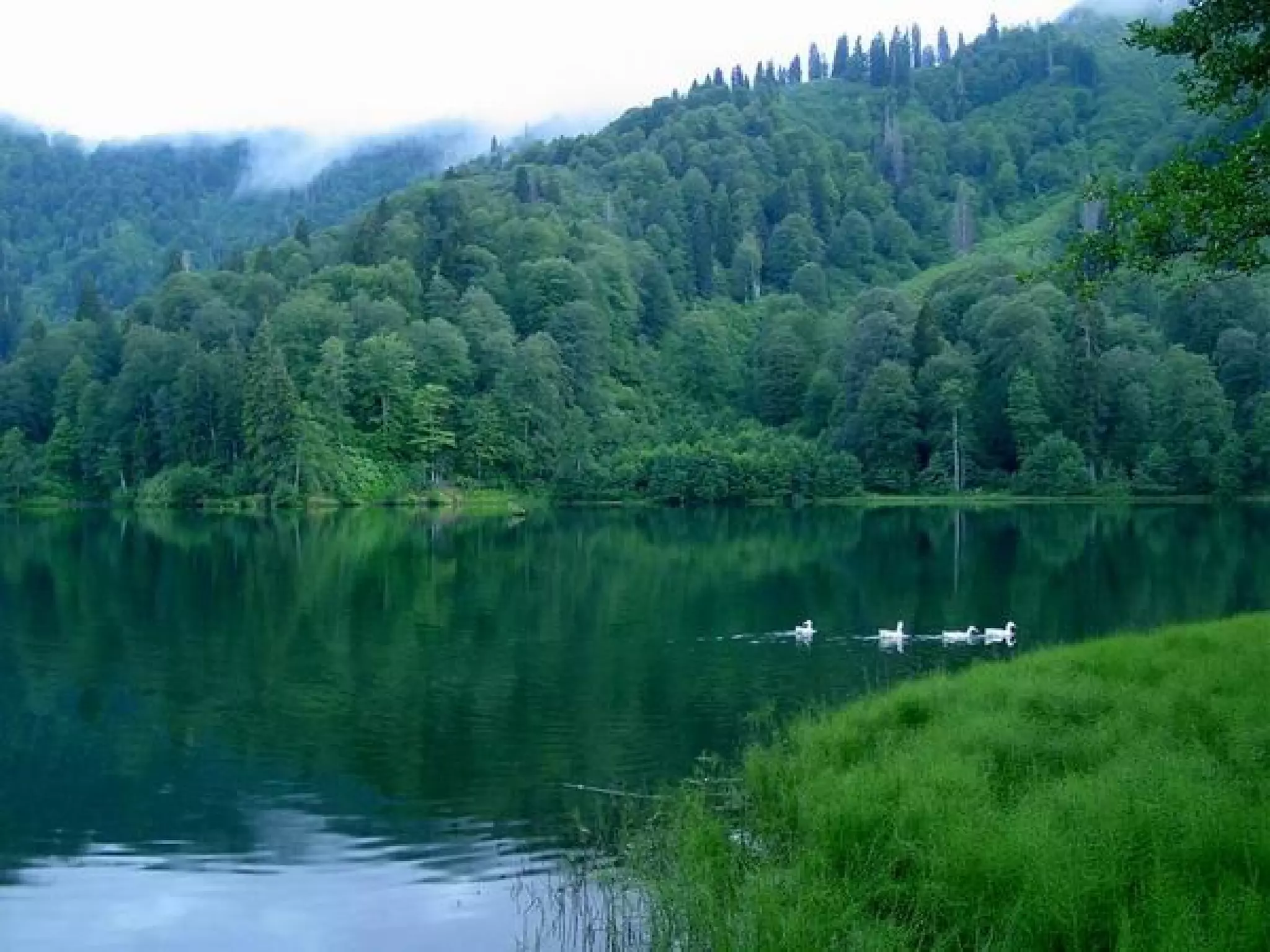 the beauty of nature | PPS