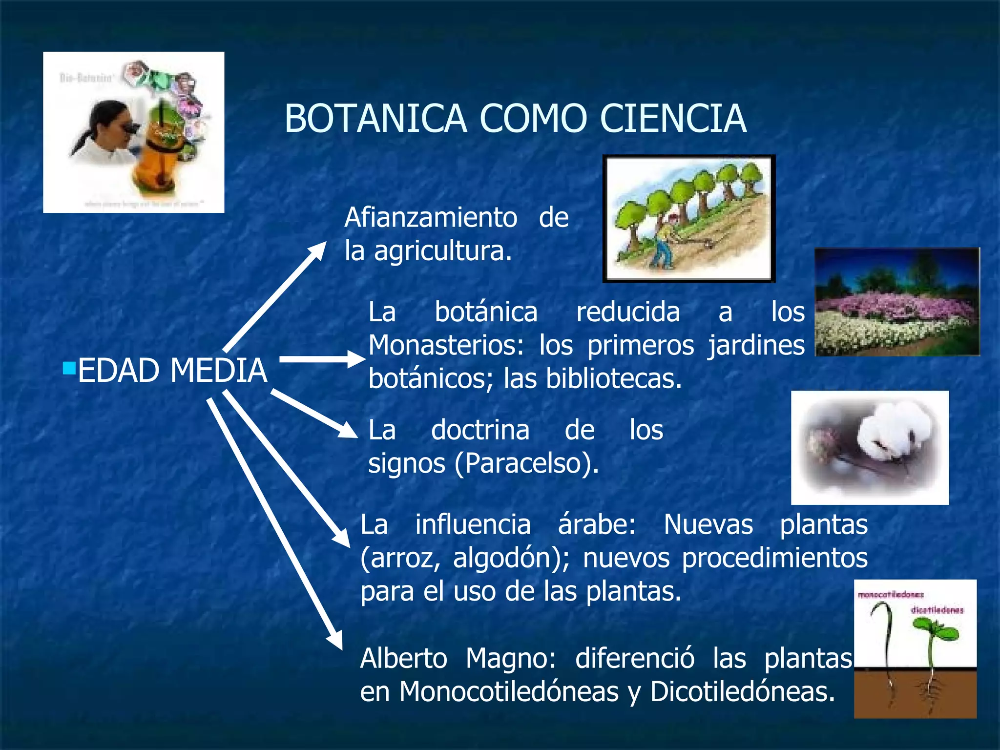 La BotáNica Como Ciencia | PPT