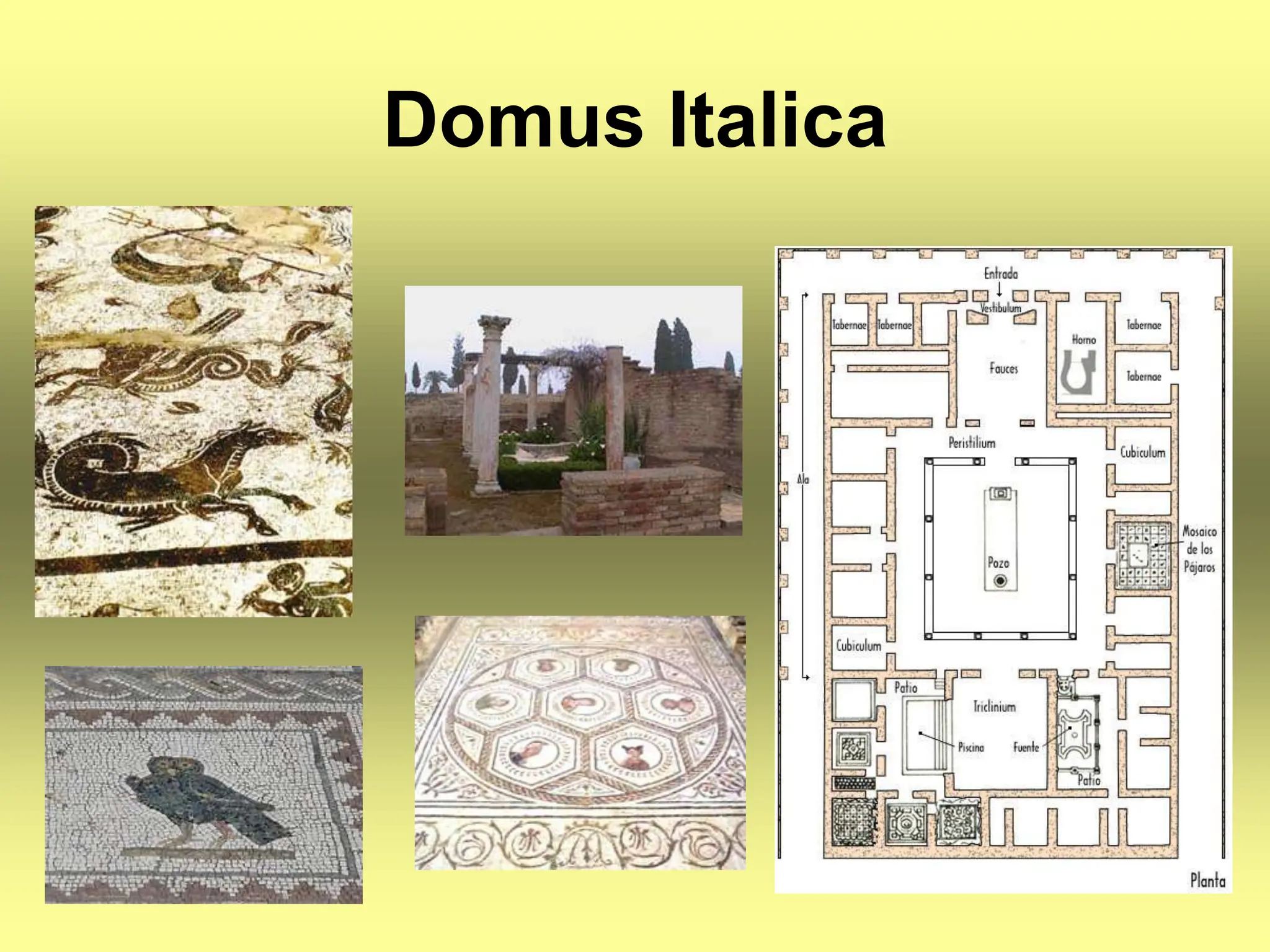 Descripción domus romana en la época clásica | PPT