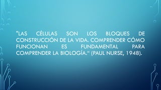 La-celula-animal-sus-procesos-completos.pptx