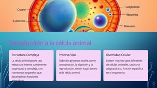 La-celula-animal-sus-procesos-completos.pptx