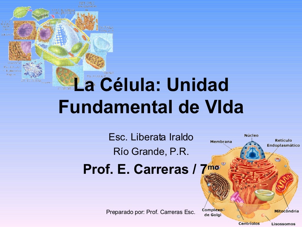 Biología 1º de Bachiller: Los seres vivos y su organización – Biogeociencia