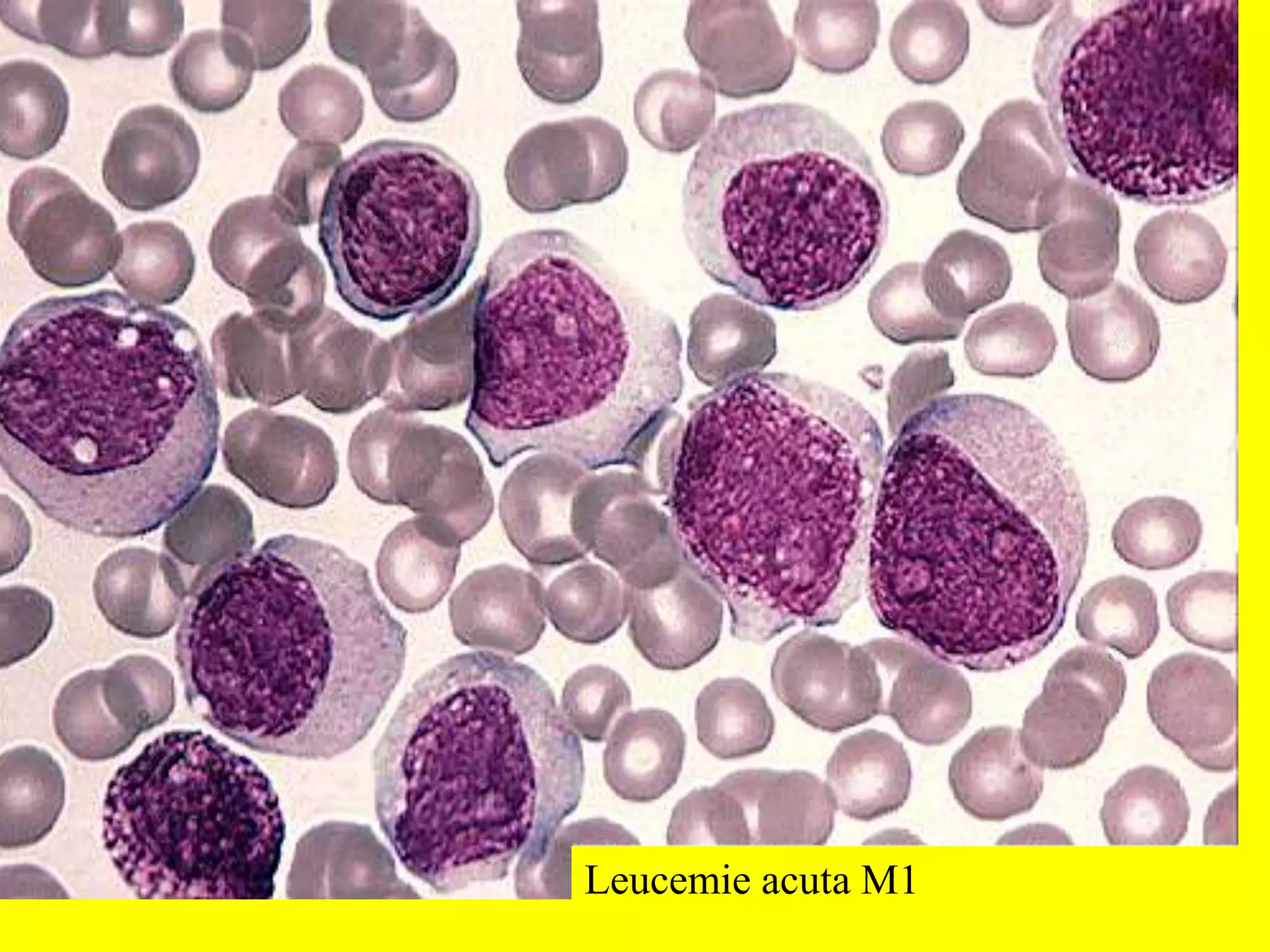 LA_-_curs_studenti.ppt