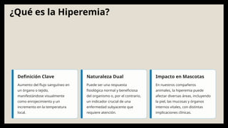 La-Hiperemia-en-Animales-Domesticos-Conceptos-Causas-y-Relevancia ...