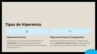La-Hiperemia-en-Animales-Domesticos-Conceptos-Causas-y-Relevancia ...