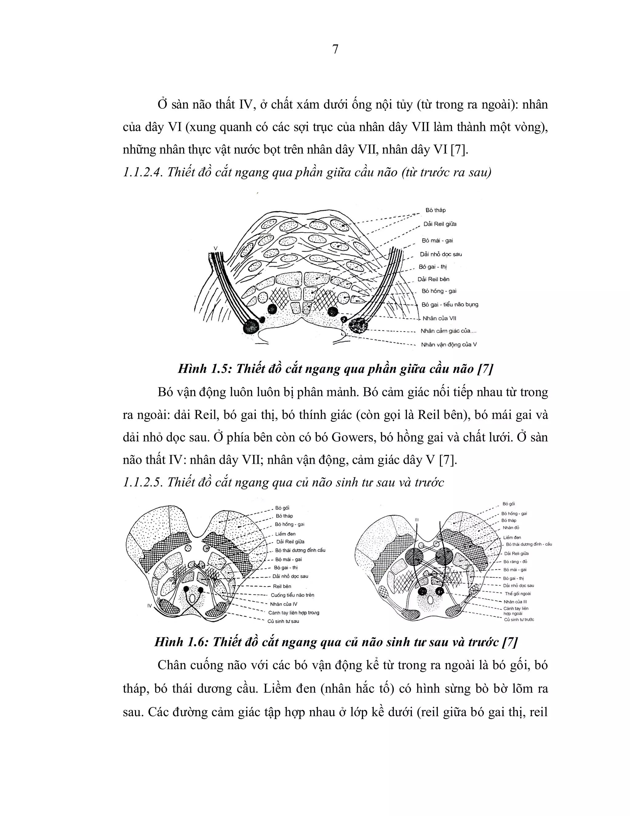 Đề tài: Nghiên cứu hiệu quả điều trị u thân não bằng phương pháp xạ phẫu dao gamma quay ...